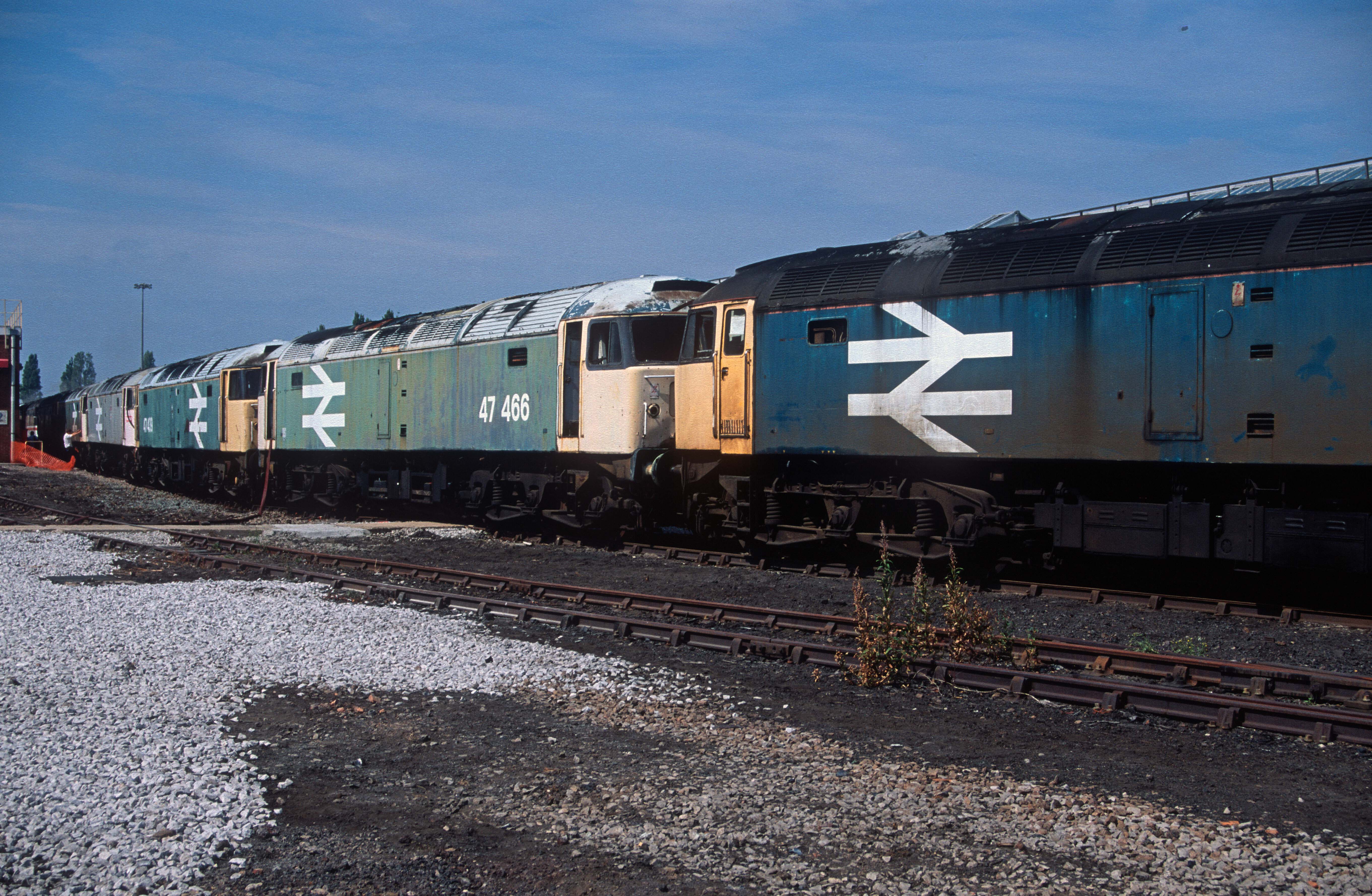 The festering season approaches… | Paul Bigland