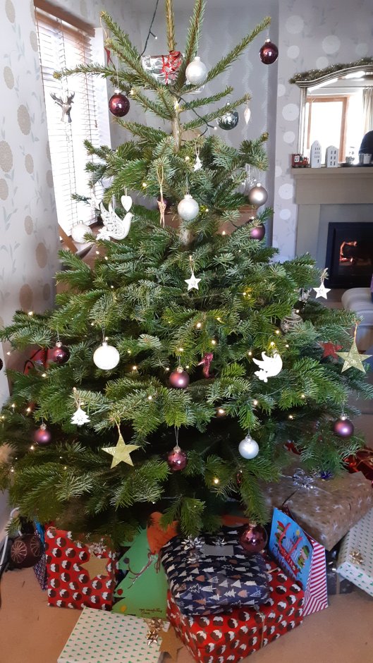 Merry Christmas, blogging’s over… | Paul Bigland