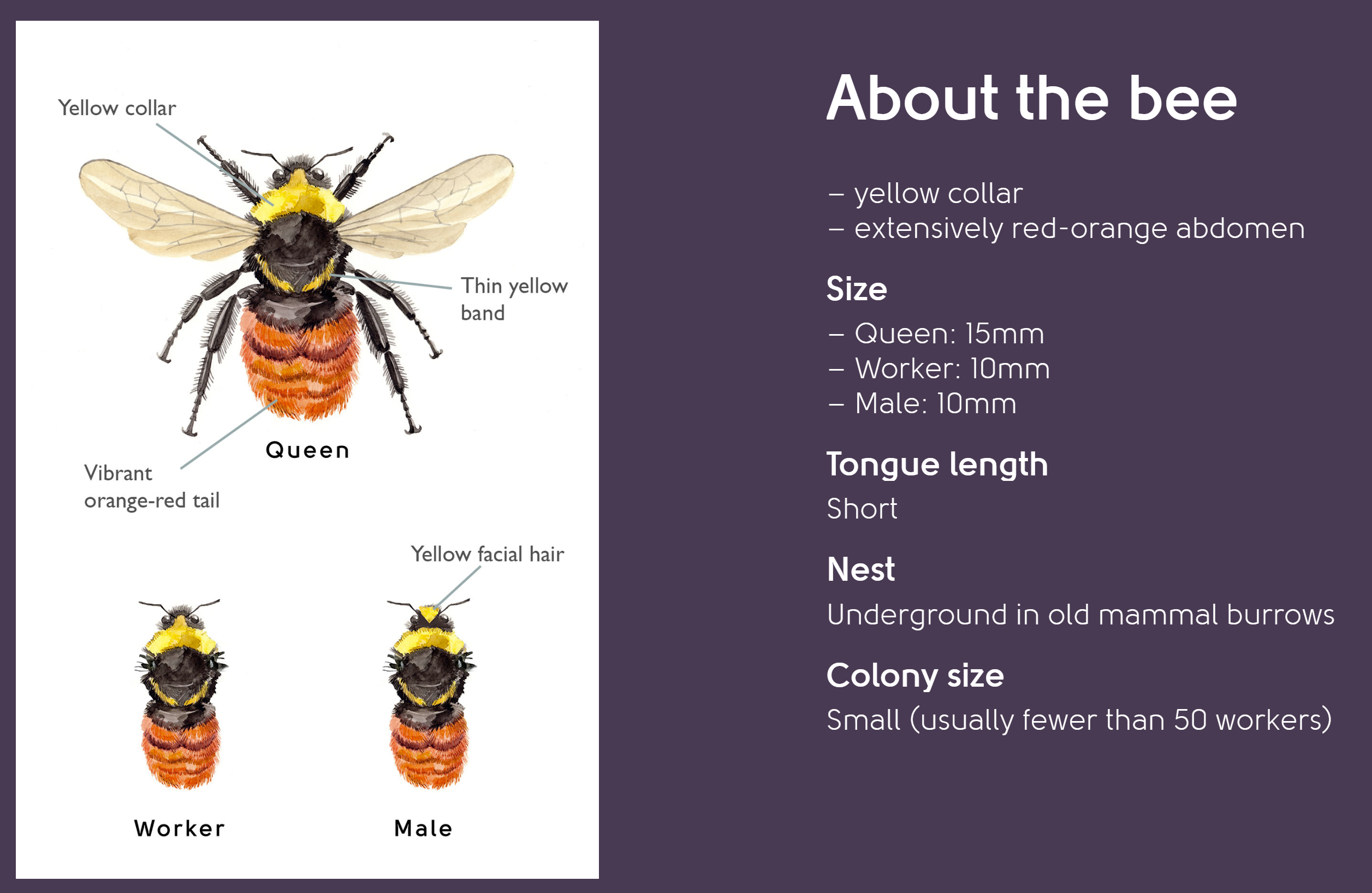 You learn something new every day… | Paul Bigland