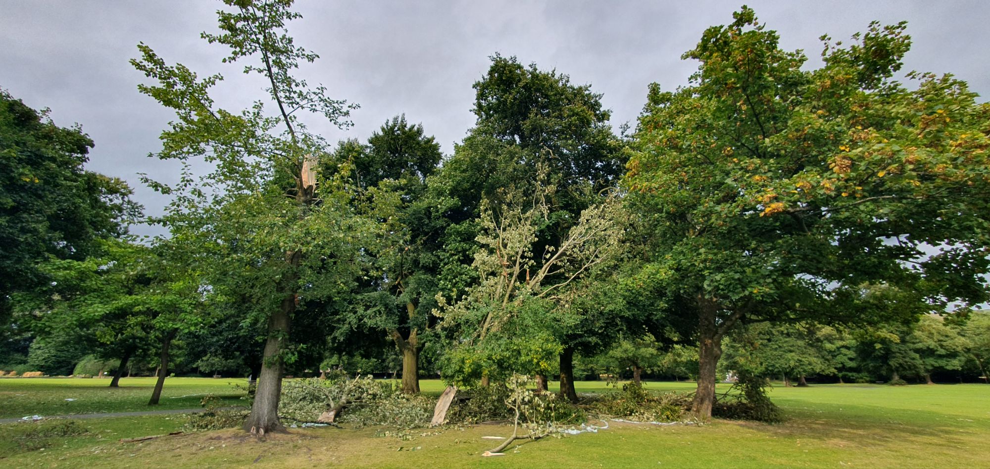 25th August picture(s) of the day… | Paul Bigland